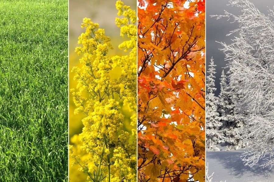 Seasons Conoce Las Estaciones del año en Inglés
